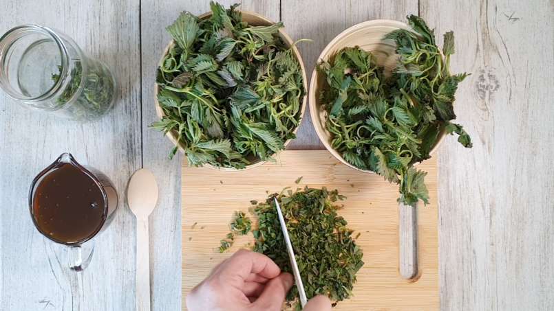 Nettle syrup with honey
